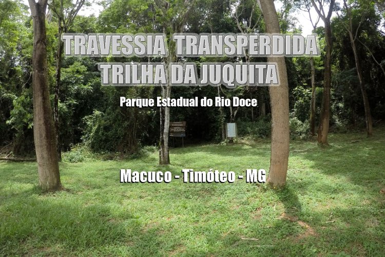 Trilhas no Parque Estadual do Rio Doce - Portal NAECO